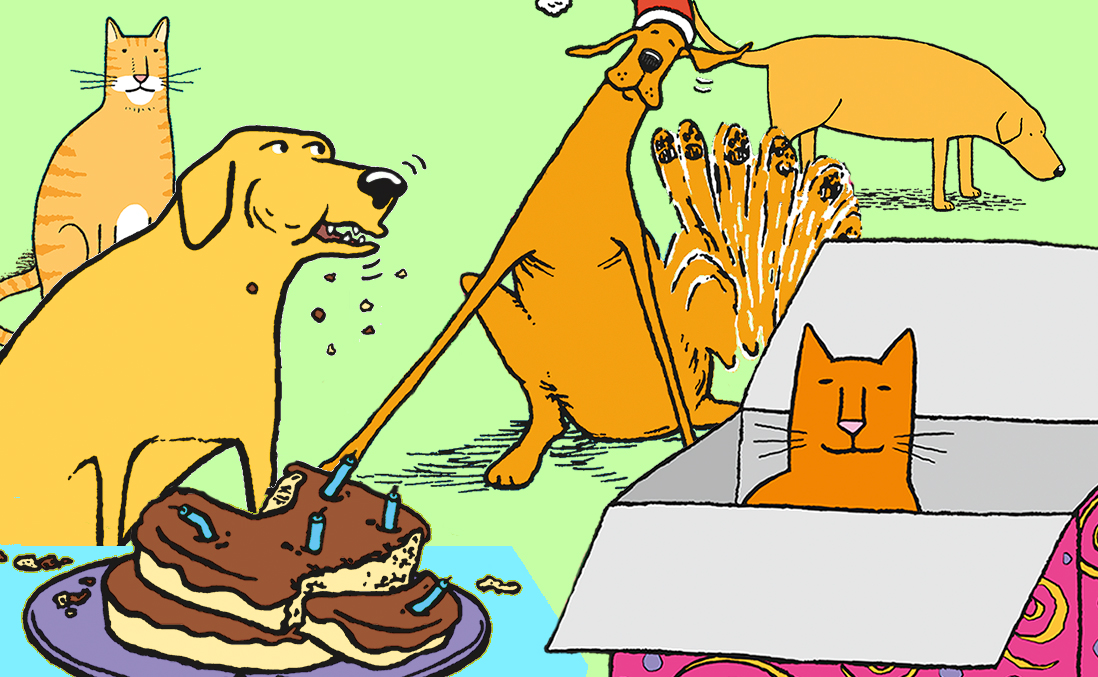 Funny Animal Greeting Cards SNAFU Designs